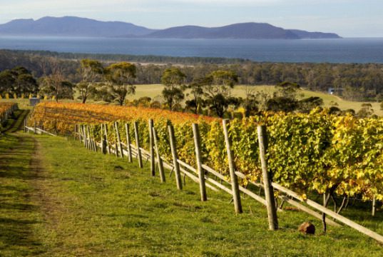 Exploring Wine Destinations of Australia
