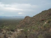 A Guide to Planning Your Summer Stay in Tucson | 99TravelTips