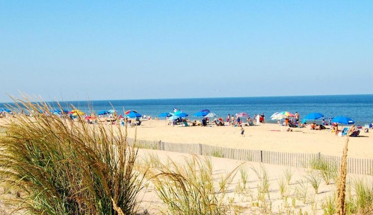 5 Most Beautiful And Best Beaches In Delaware
